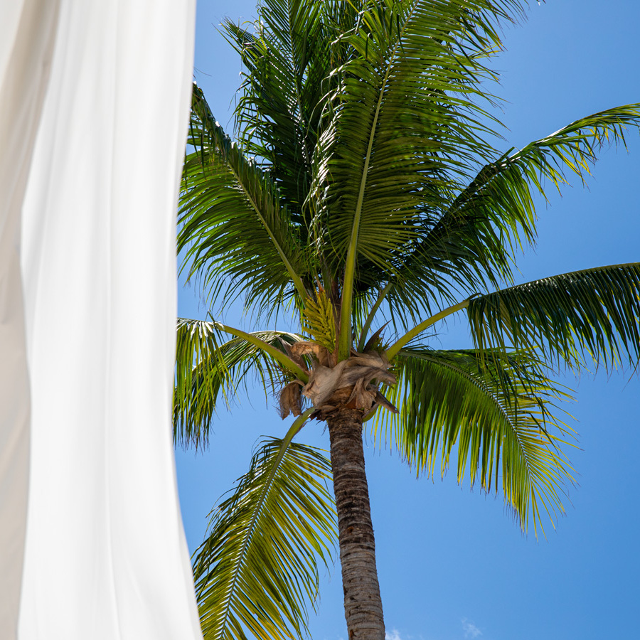 Blog and Things To Do | Blog | Excellence Resorts