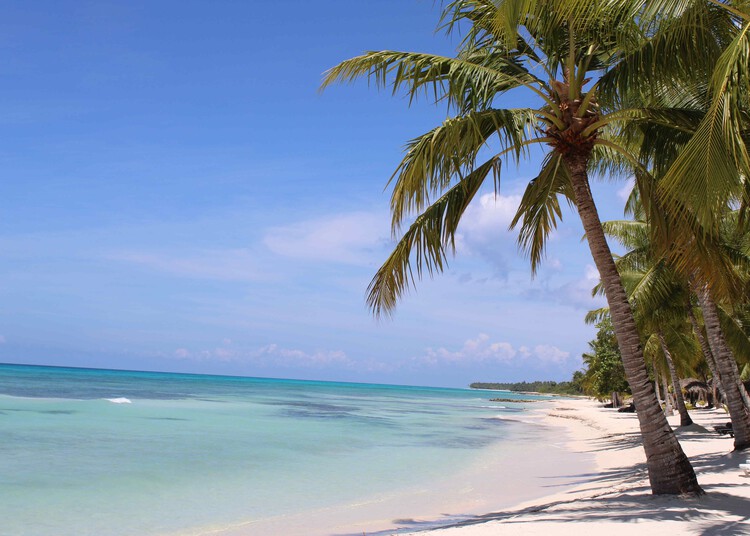 Should You Try The Saona Island Excursion in The Dominican Republic?